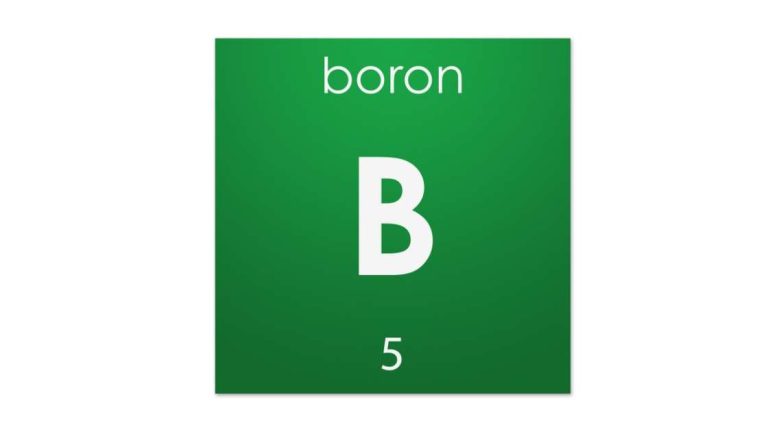 boron :- What is the role of boron in plants?