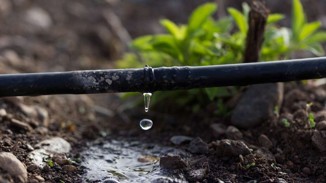 drip irrigation :- What is drip irrigation?