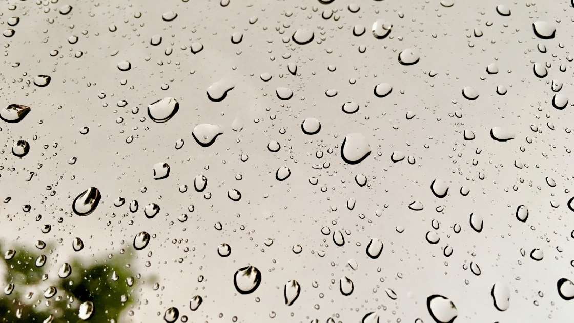 acid rain :- What's the impact of acid rain