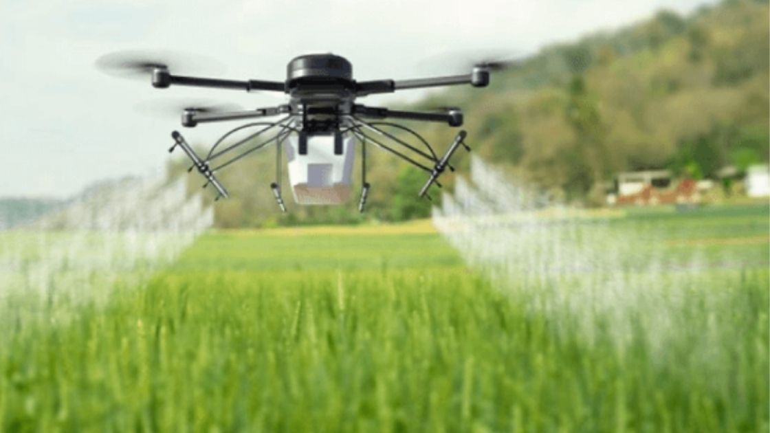 Pastoral farming :- What is Pastoral farming?