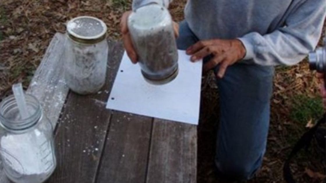 varroa mite :- Test helps to detect varroa mite in honey bee?