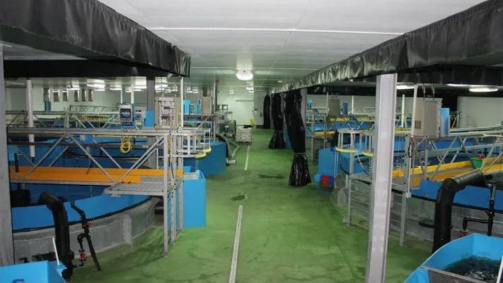 categories :- two major categories of Biofilters in RAS fish farming?