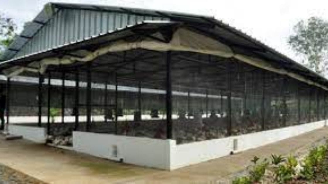 Pastoral farming :- What is Pastoral farming?