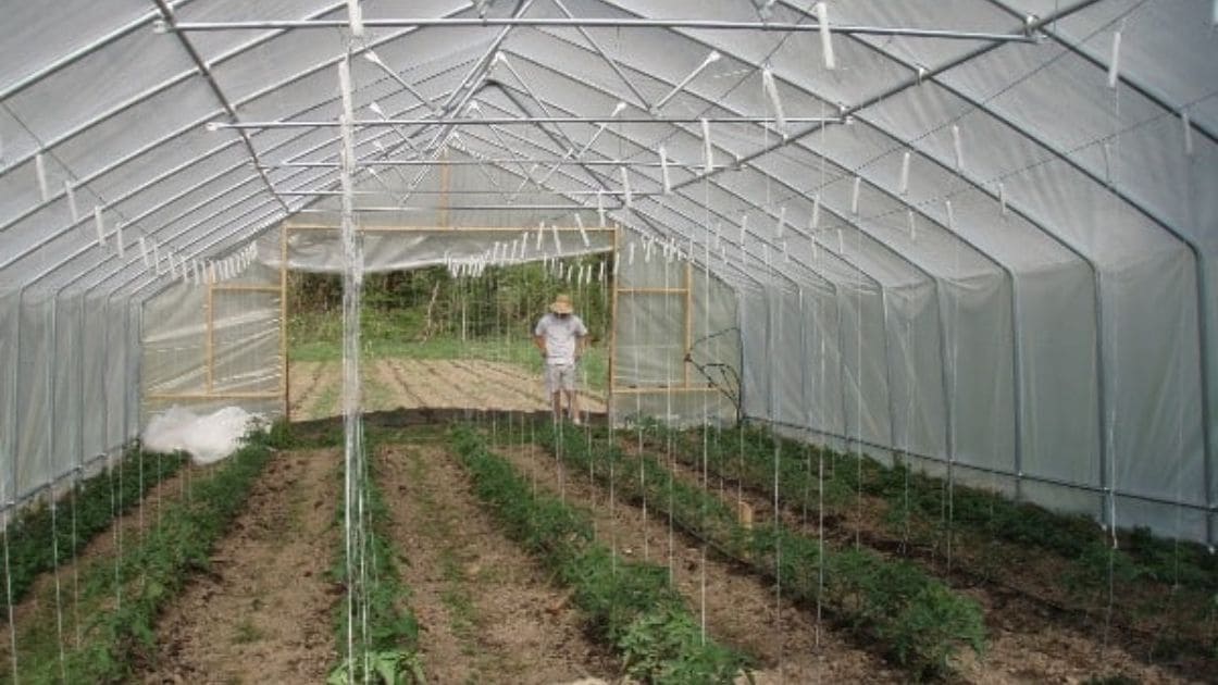 Shade house :- How site selection is done for Shade house?