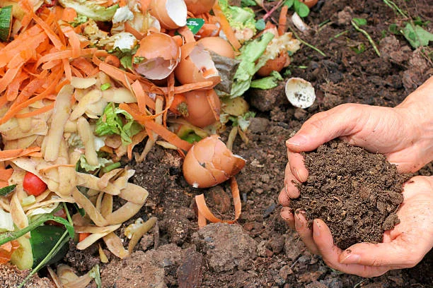 biofuel production from agricultural waste?