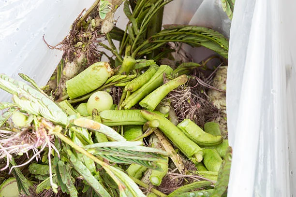 waste and loss :- waste and loss in the agricultural value chain?