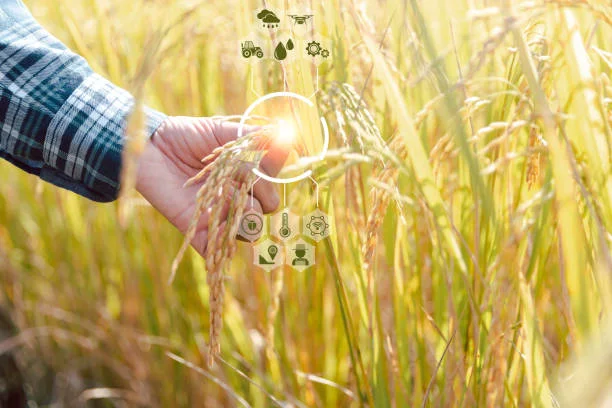 predictive analytics help optimize crop yields? - Agrisay
