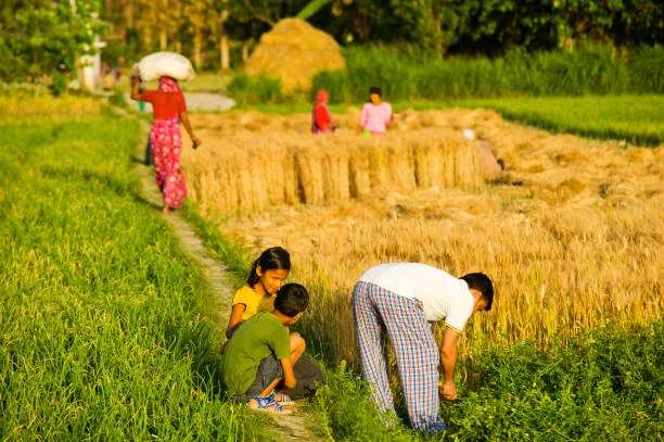 small and marginal farmers : Which program that aims to enhance?